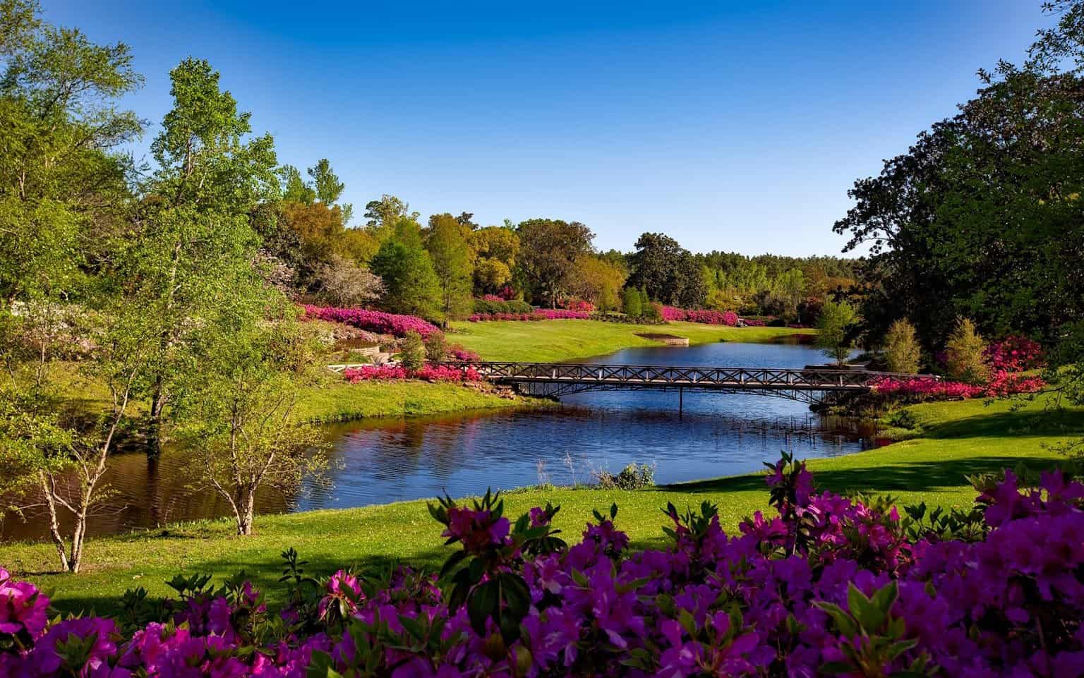 Bird Watching Date Ideas: Cozy, Romantic Ways to Connect in Nature ...